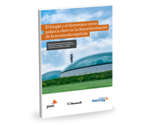 Renewable gas - Naturgy