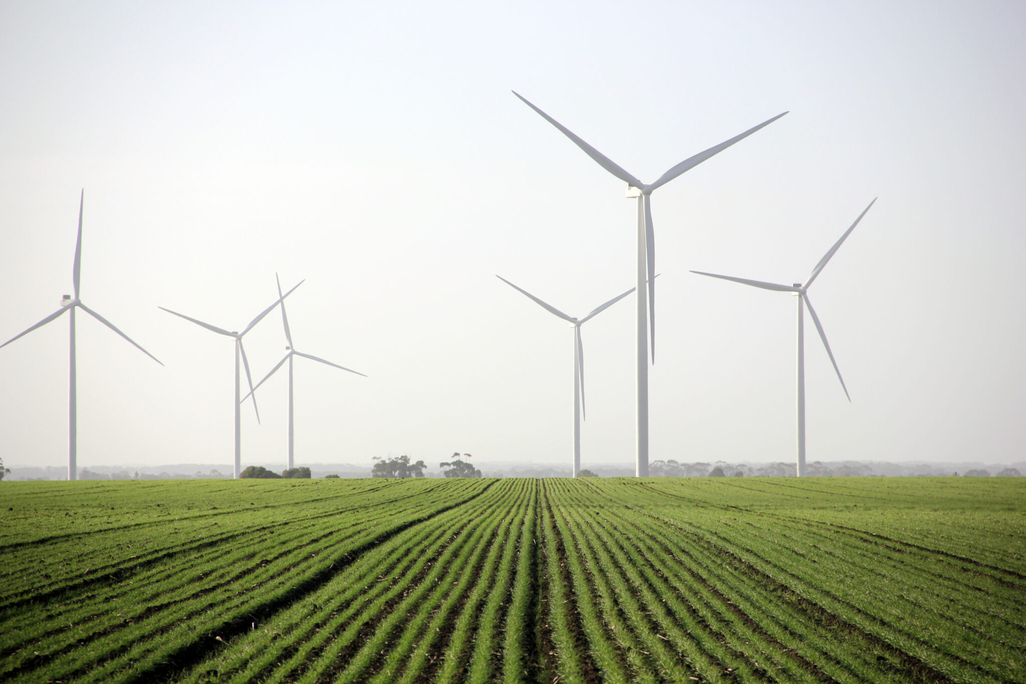 Naturgy grows its presence in Australia with a new wind farm becoming ...